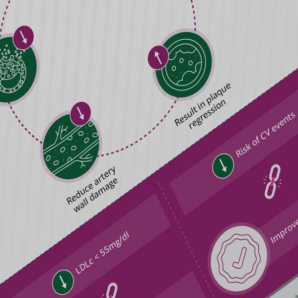 Lipid-Lowering Combination Therapy in Atherosclerosis Management ...
